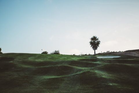 Course Overview | Goat Hill Park Golf Club