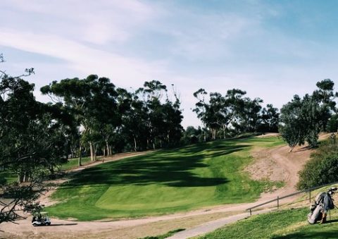 Course Overview | Goat Hill Park Golf Club