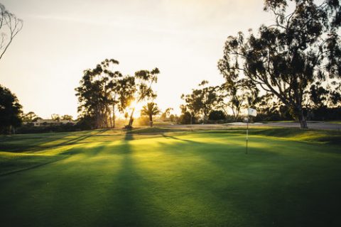 Course Overview | Goat Hill Park Golf Club